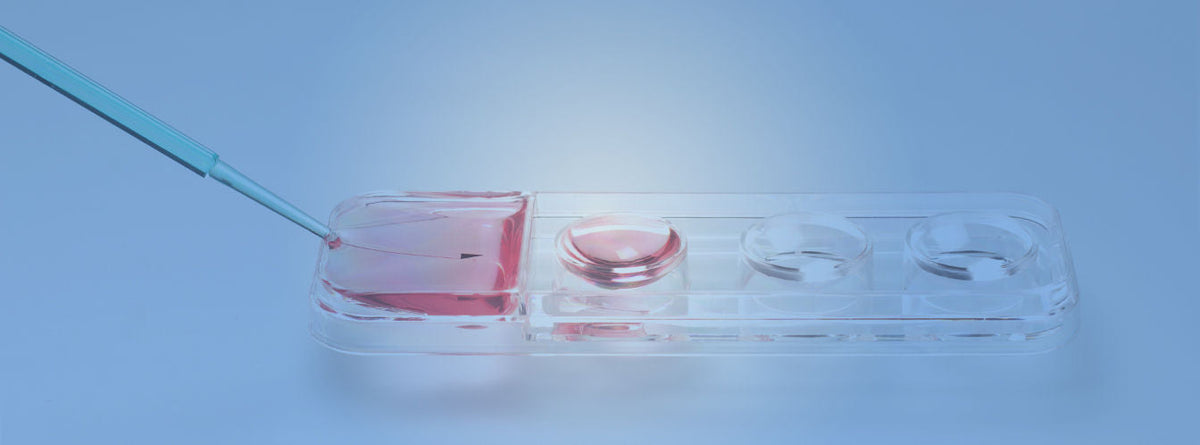 Cryotech – Cryopreservation Store